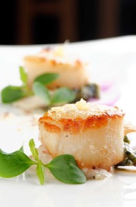 Menus - Churchill Events